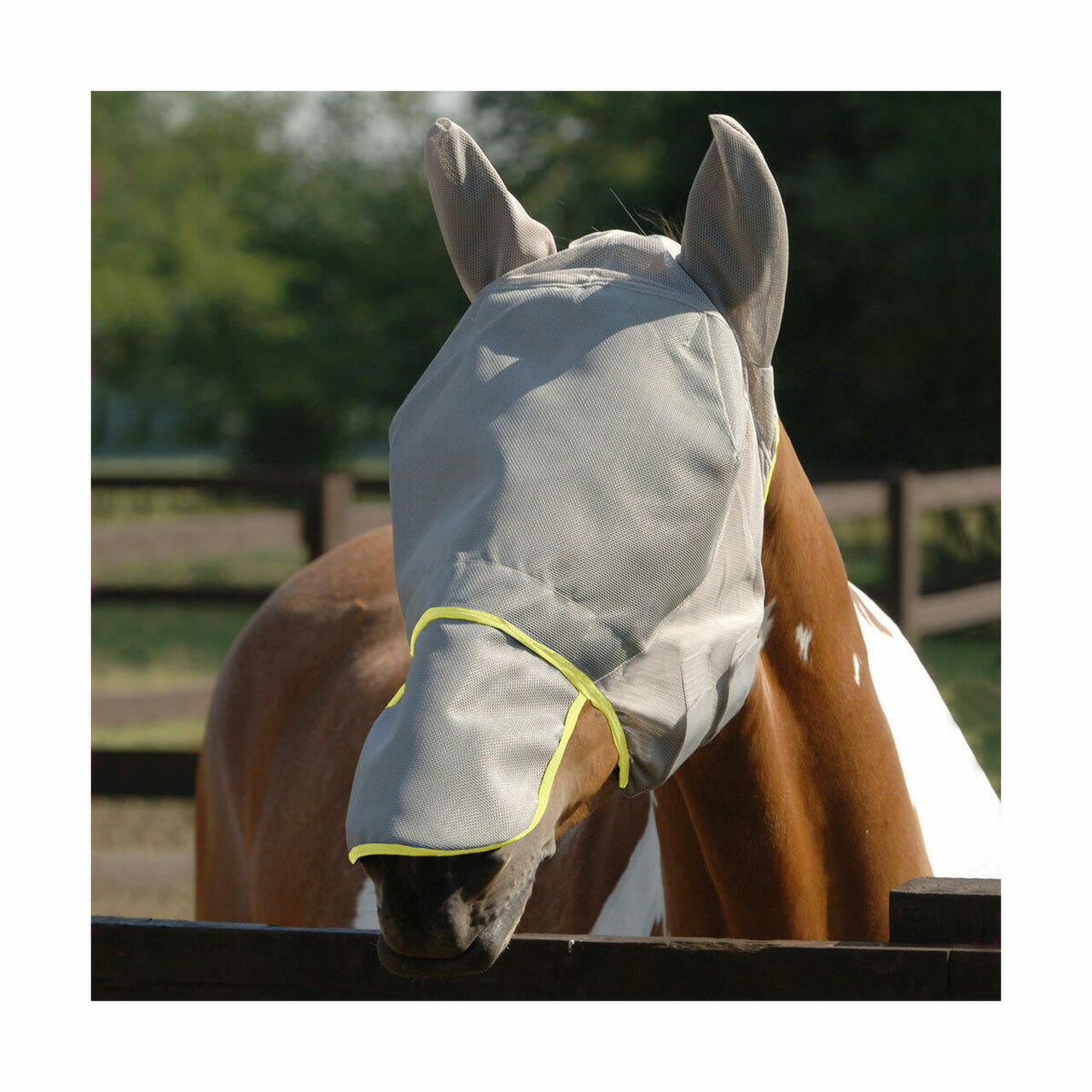 Fly Masks - Eileen Douglas Tack Shops Ltd